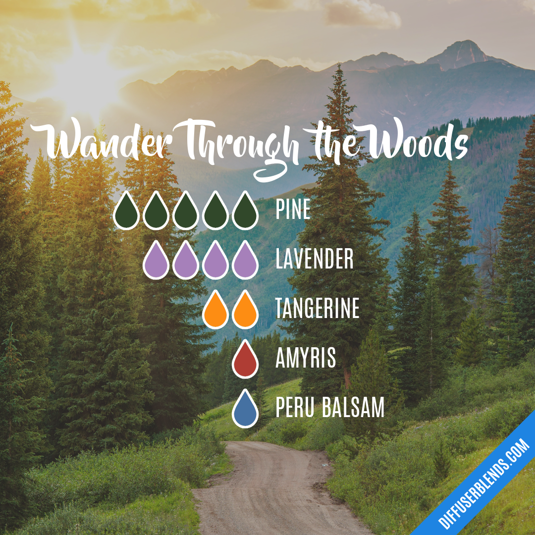 Wander Through the Woods | DiffuserBlends.com