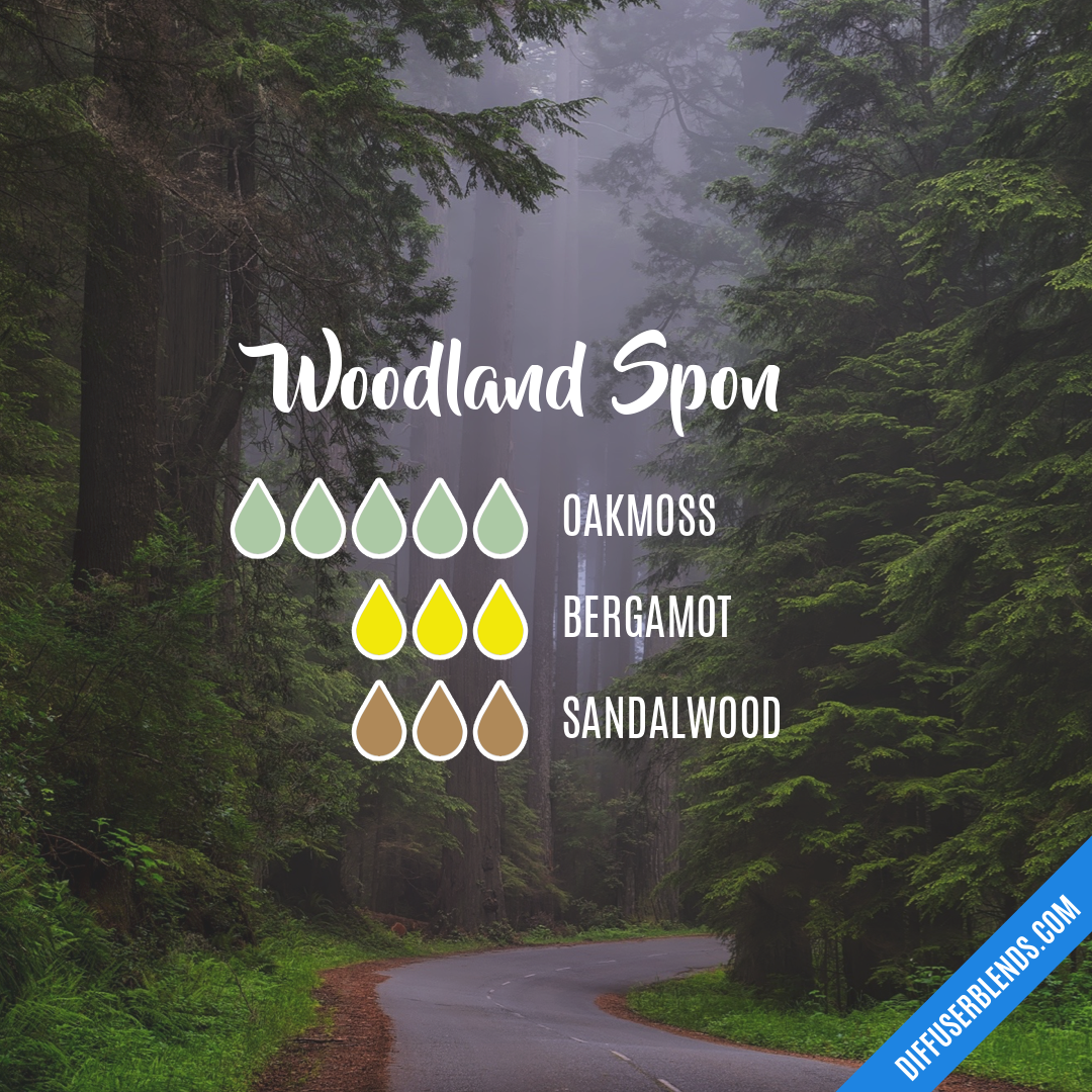 Woodland Spon | DiffuserBlends.com