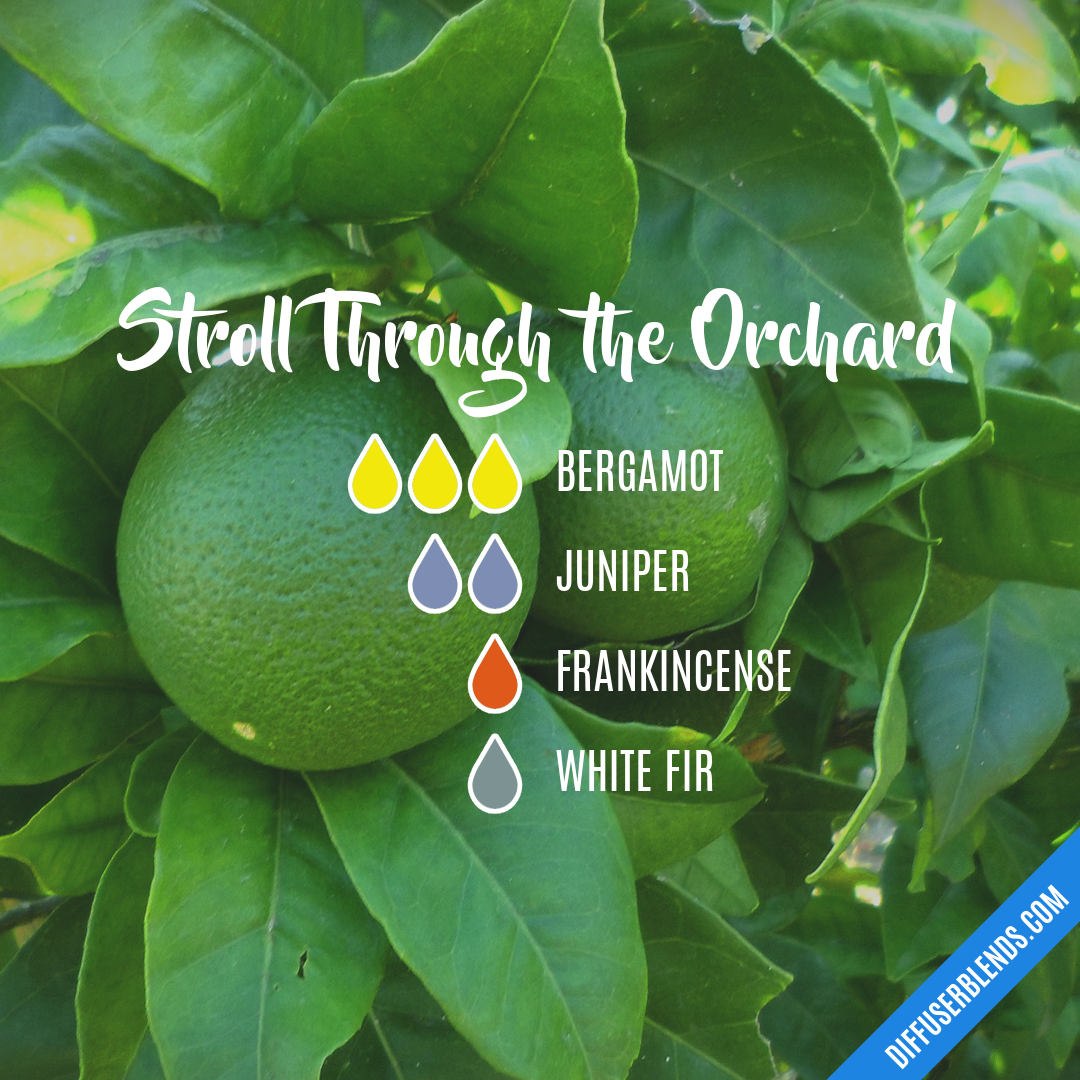 Stroll Through the Orchard | DiffuserBlends.com