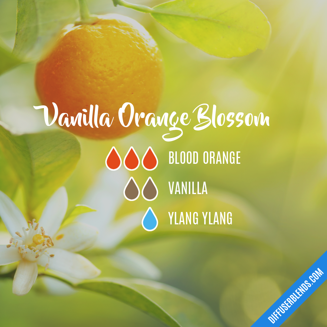 Vanilla Orange Blossom | DiffuserBlends.com