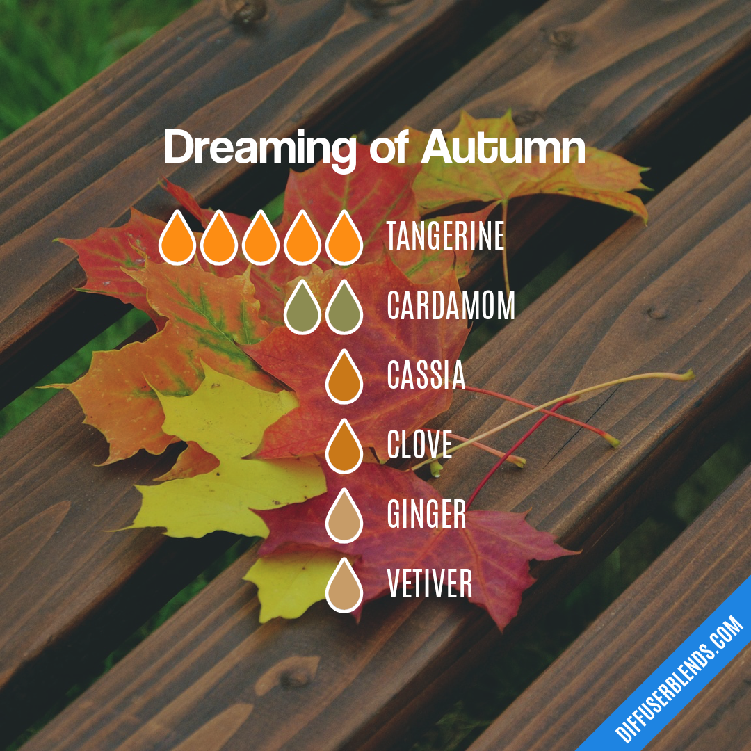Dreaming of Autumn | DiffuserBlends.com