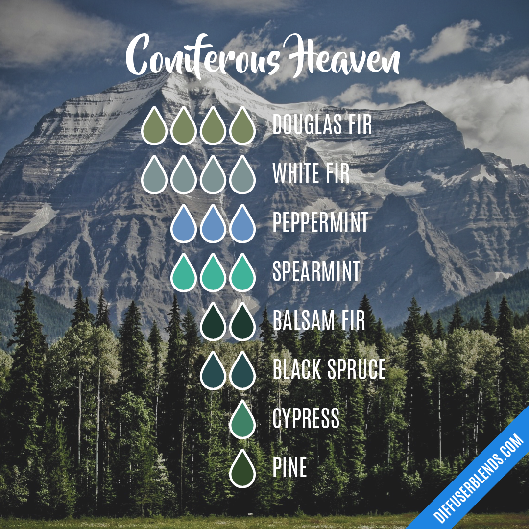 Coniferous Heaven | DiffuserBlends.com