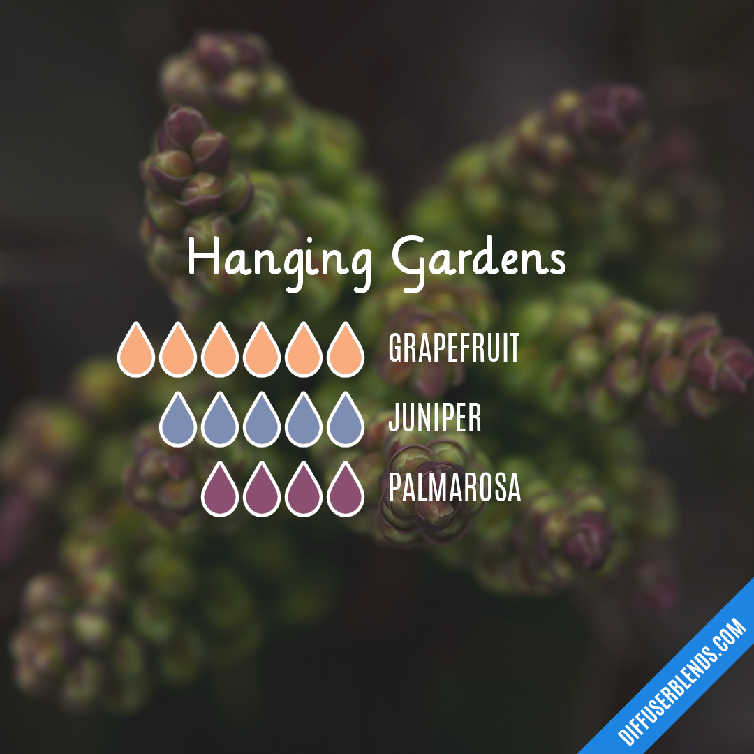 Hanging Gardens | DiffuserBlends.com