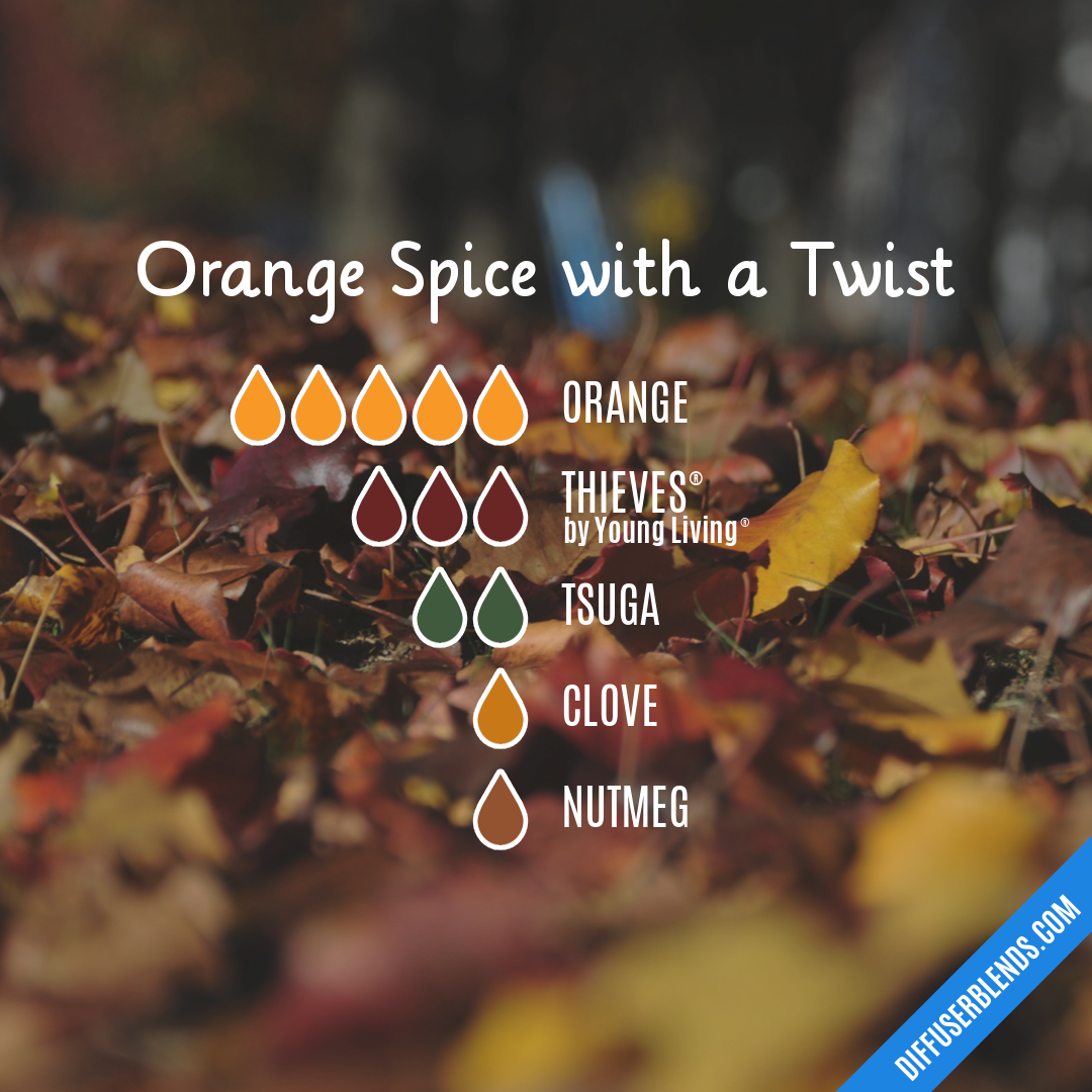 Orange Spice with a Twist | DiffuserBlends.com