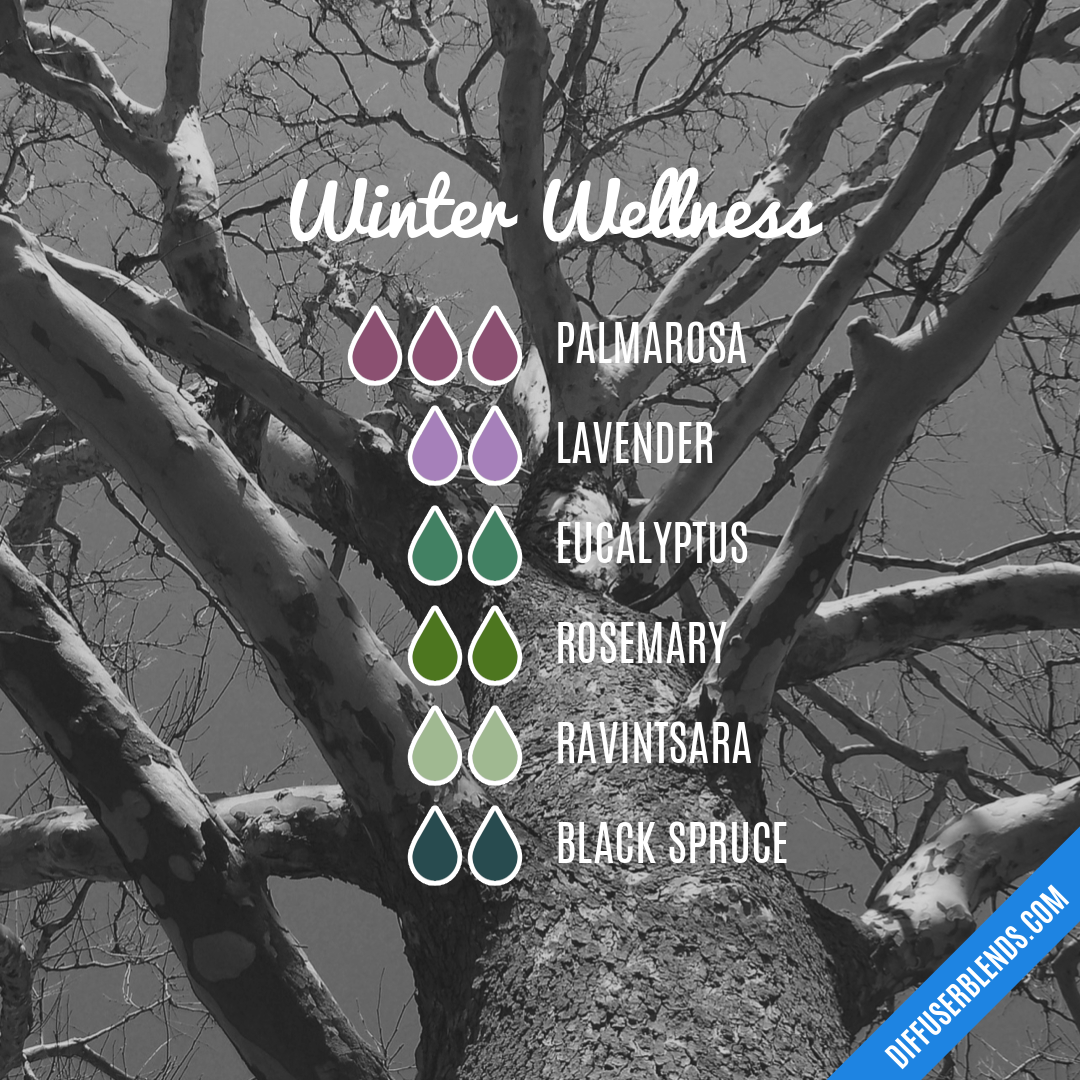 Winter Wellness | DiffuserBlends.com