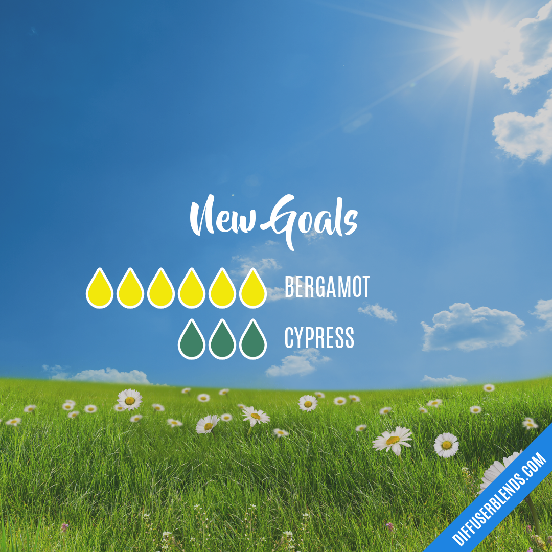 New Goals | DiffuserBlends.com