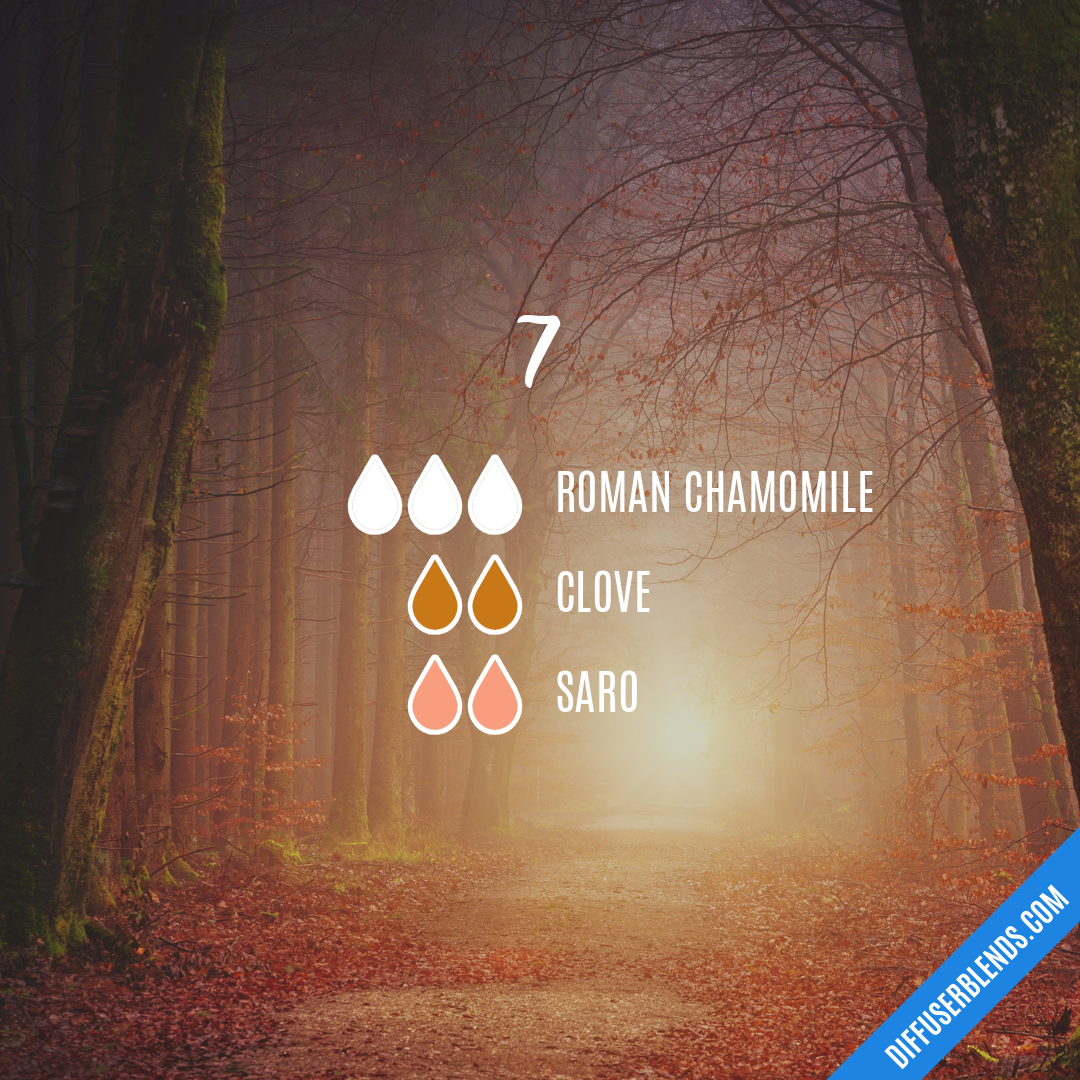 7 | DiffuserBlends.com