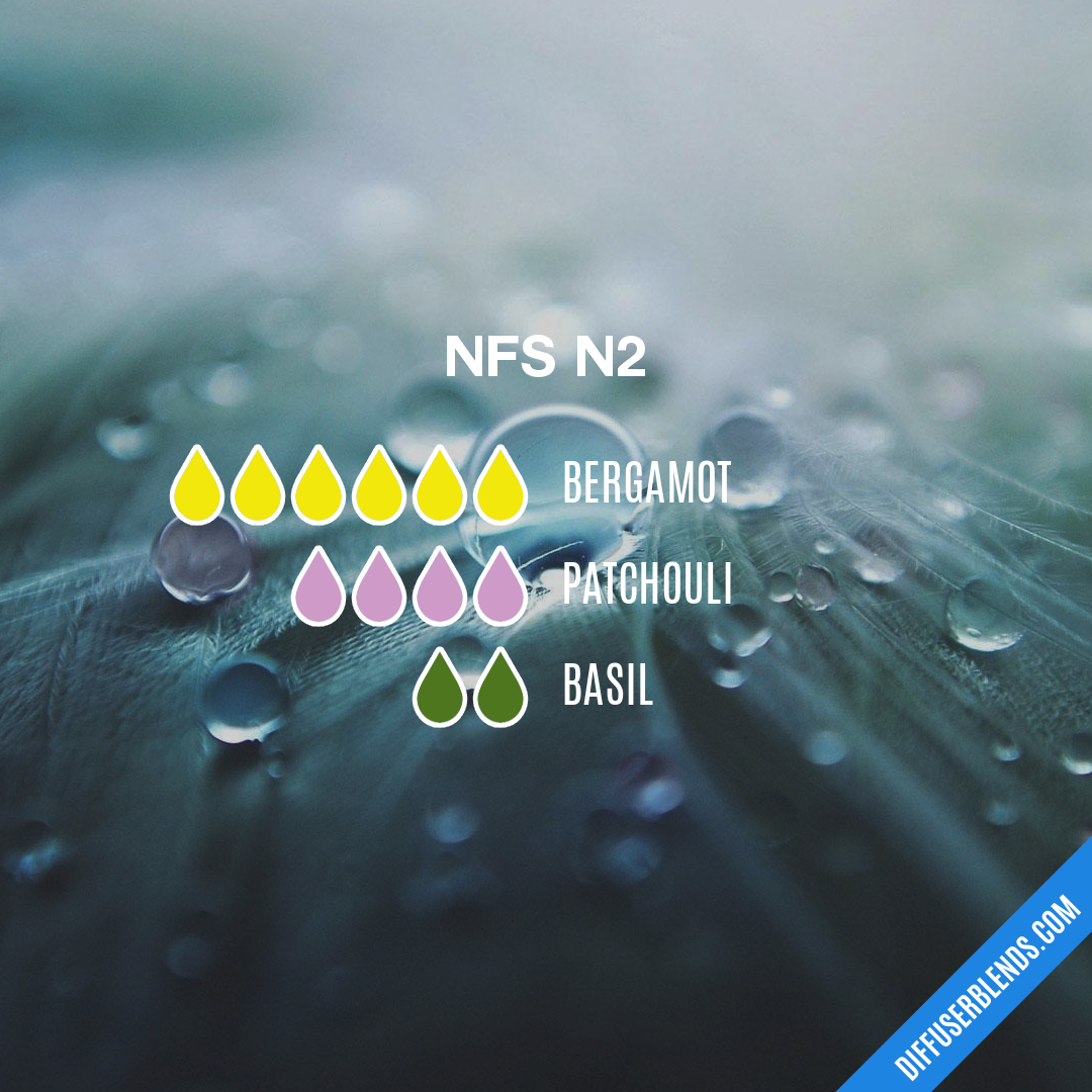 Nfs N2 | DiffuserBlends.com