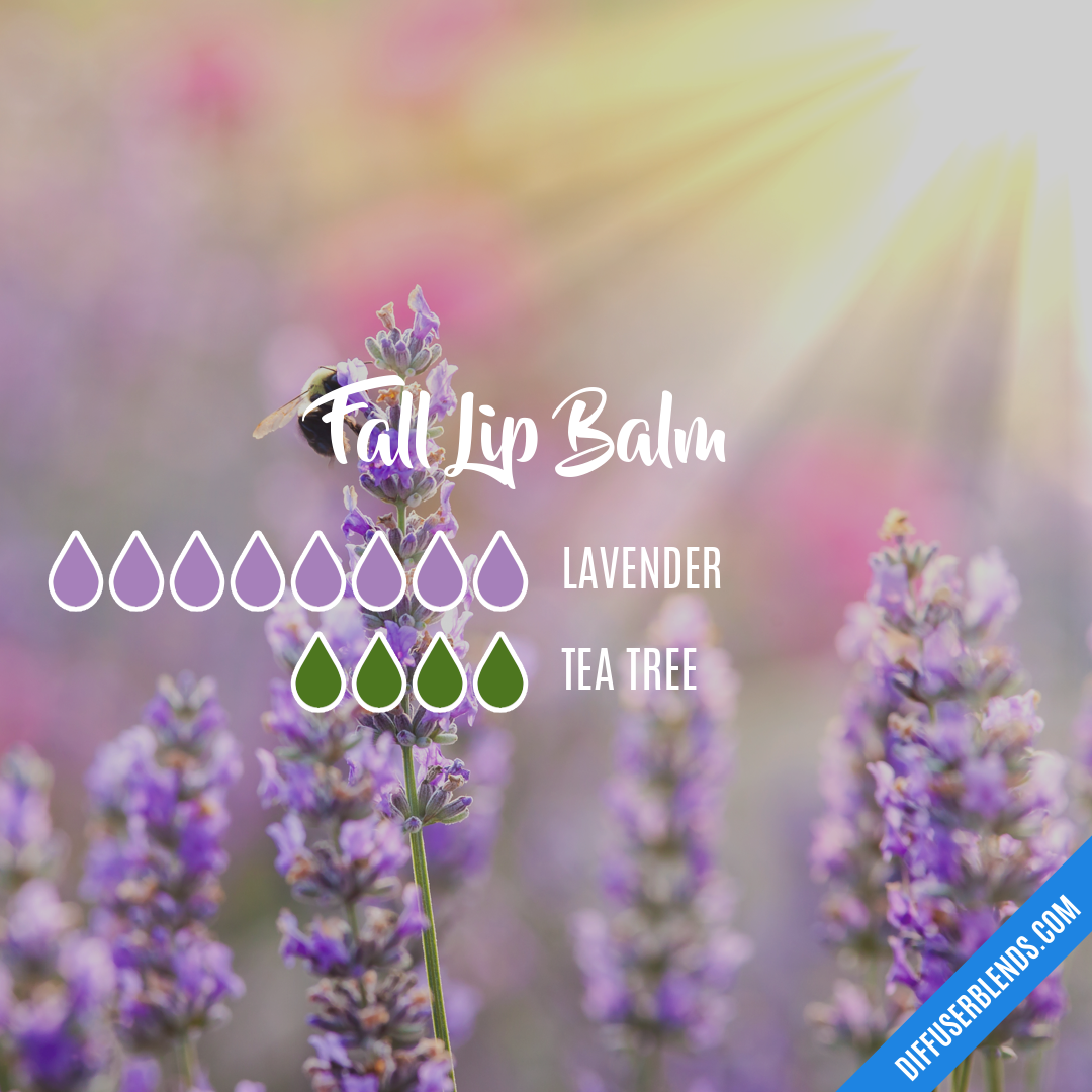 Fall Lip Balm | DiffuserBlends.com