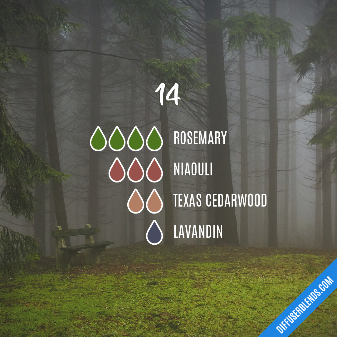 Woodland Hike | DiffuserBlends.com