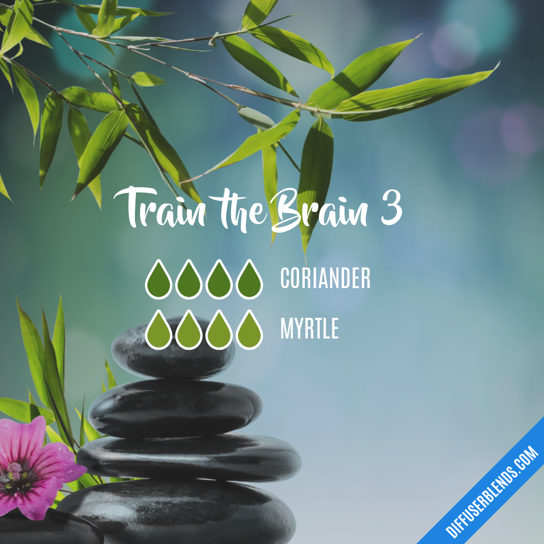 Train the Brain 3 | DiffuserBlends.com