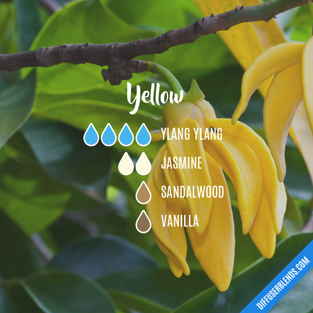 Yellow | DiffuserBlends.com