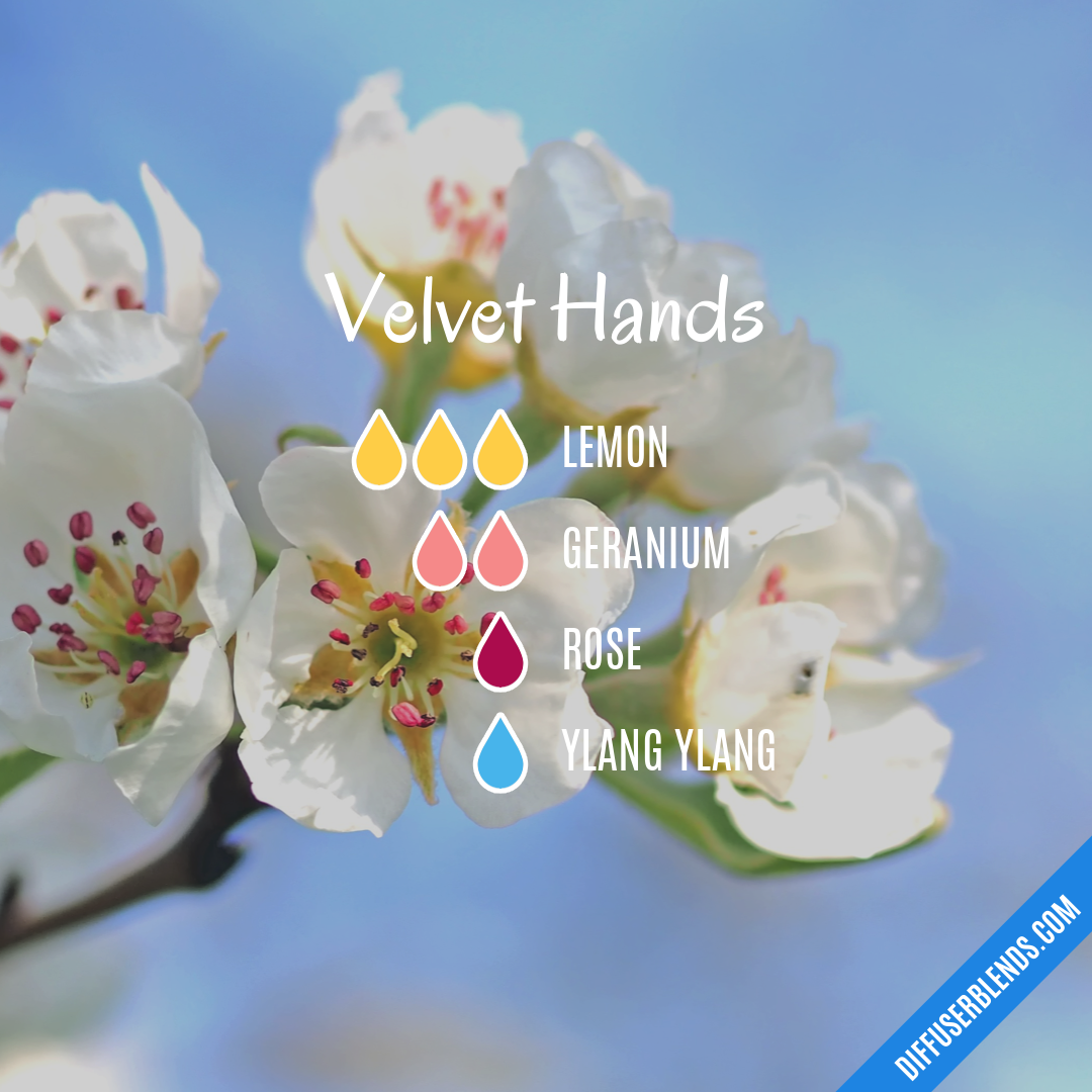 Velvet Hands | DiffuserBlends.com