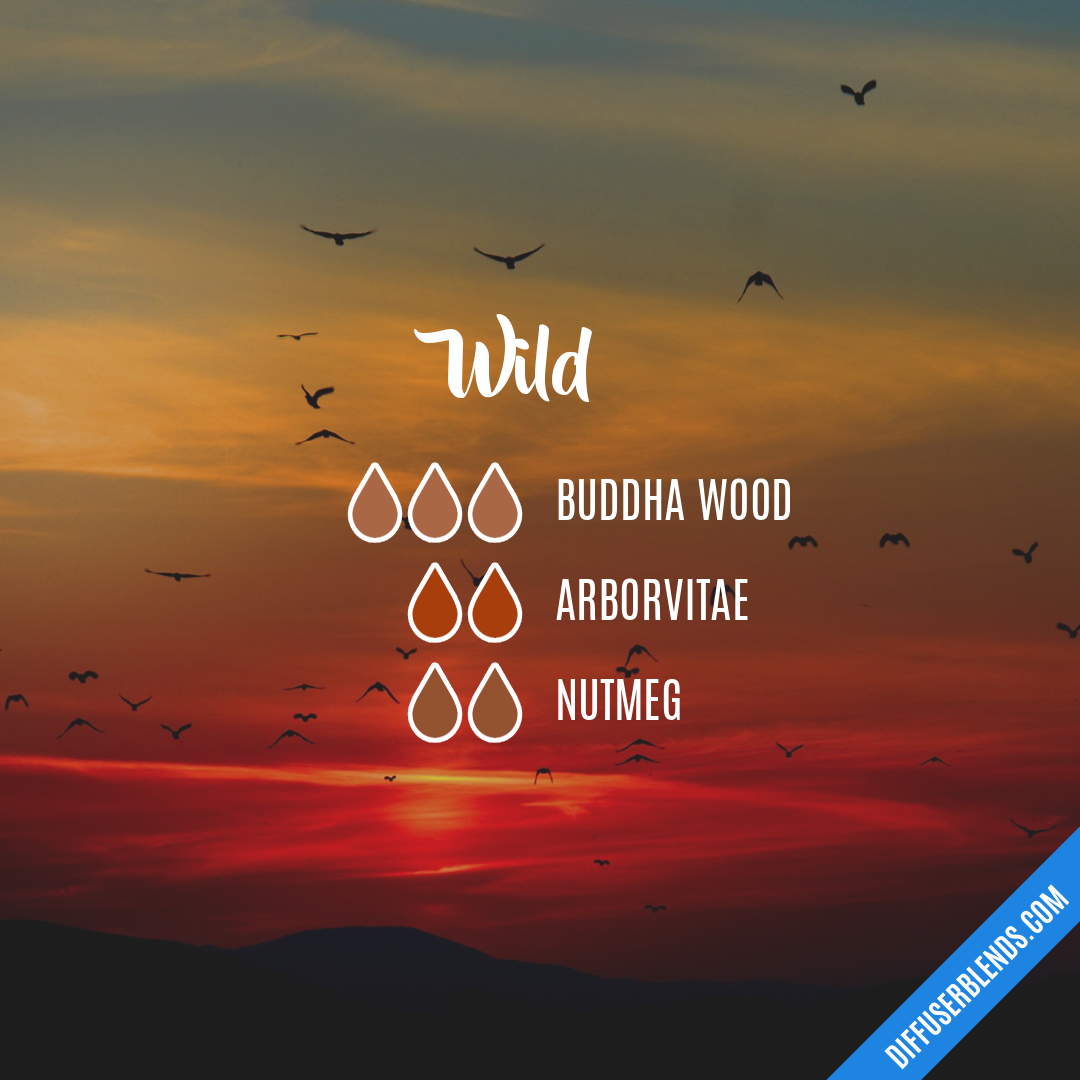 Wild | DiffuserBlends.com
