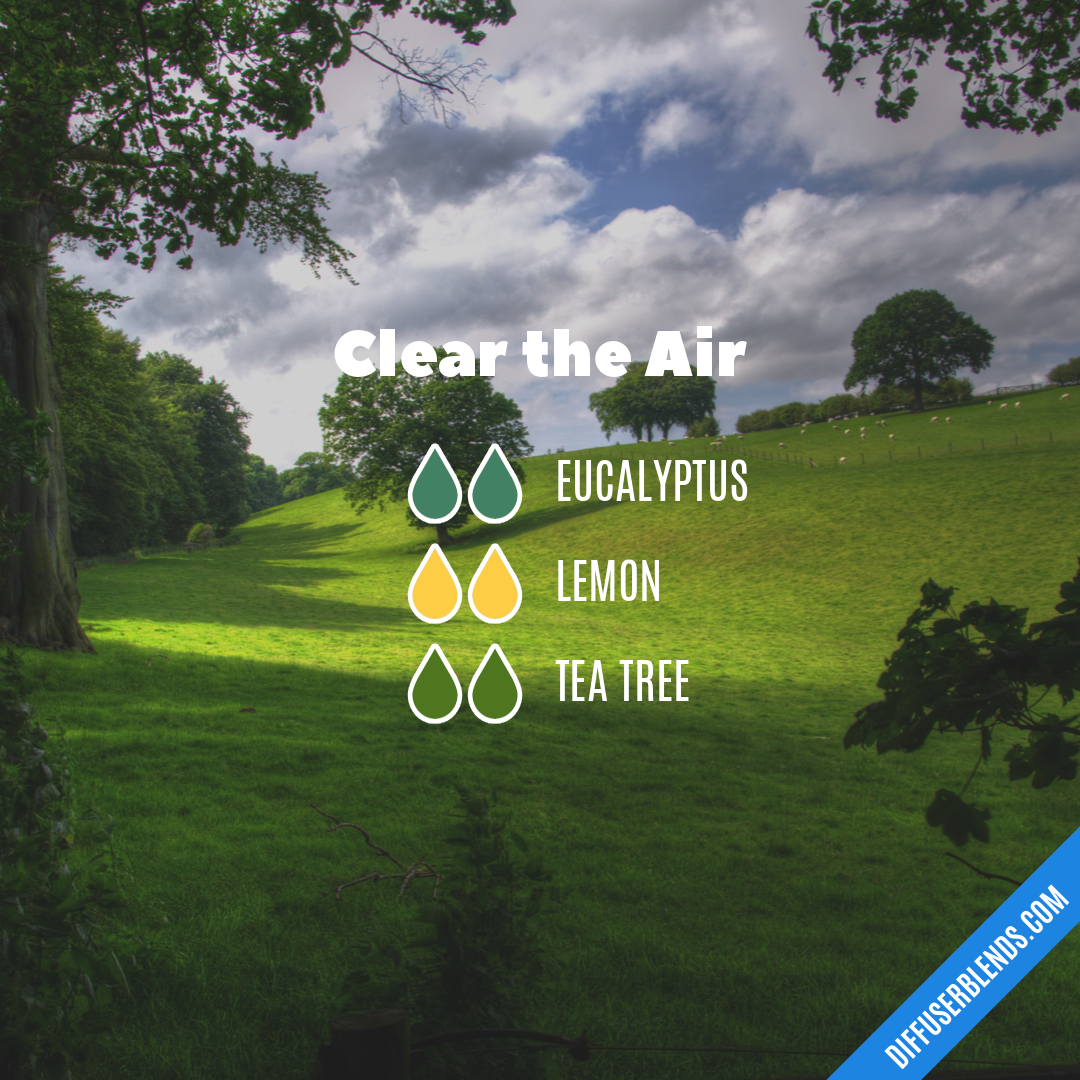 Clear the Air | DiffuserBlends.com