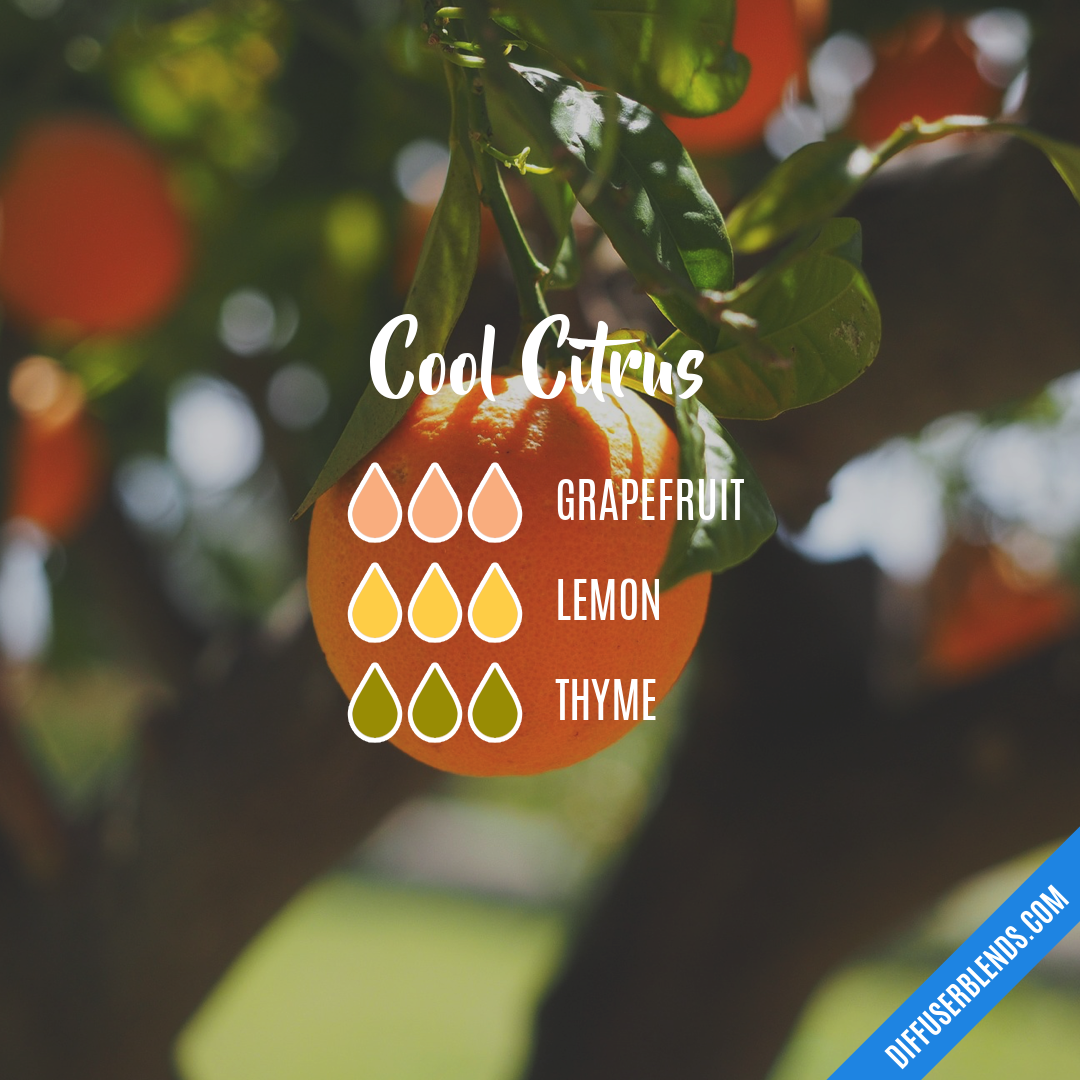 Cool Citrus | DiffuserBlends.com