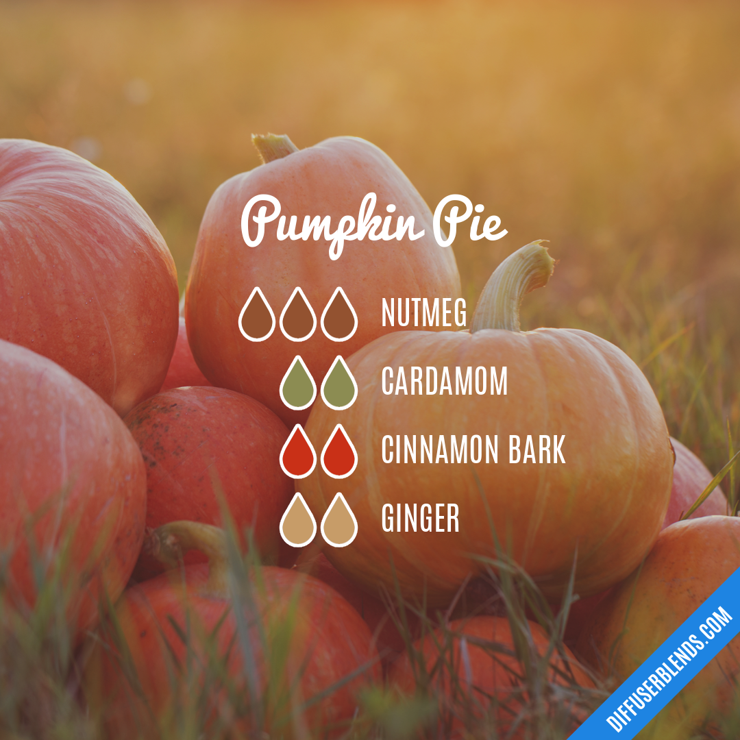 Pumpkin Pie | DiffuserBlends.com