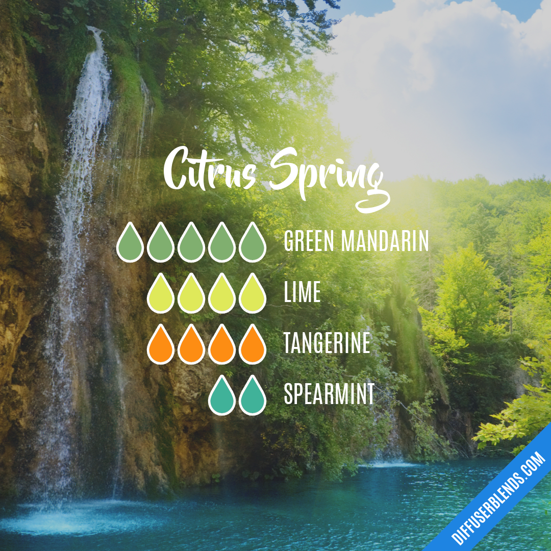 Citrus Spring | DiffuserBlends.com