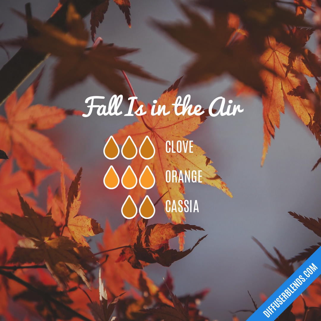 Fall Is in the Air | DiffuserBlends.com