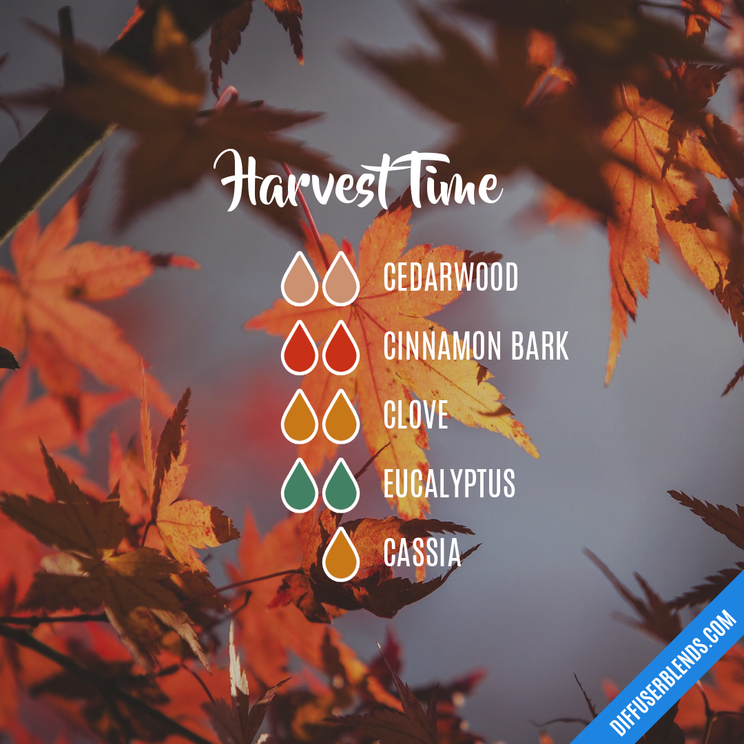 Harvest Time | DiffuserBlends.com