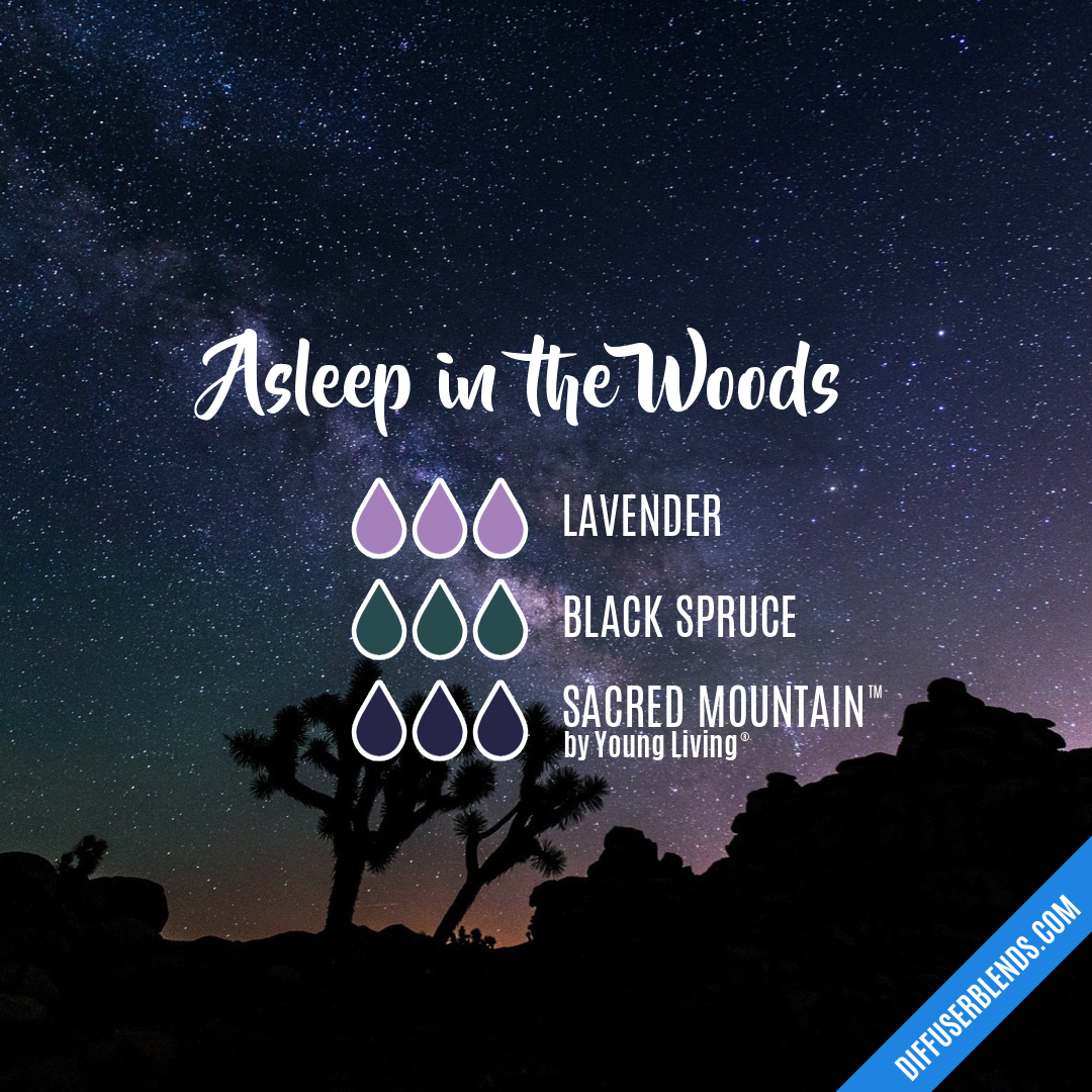 Asleep in the Woods | DiffuserBlends.com