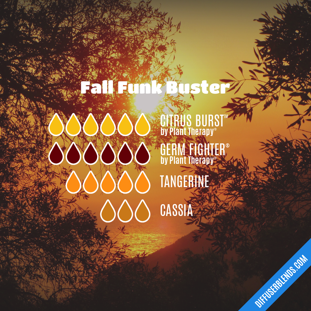Fall Funk Buster | DiffuserBlends.com