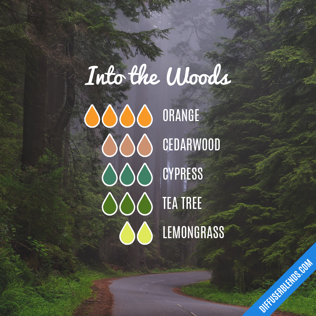 Into the Woods | DiffuserBlends.com