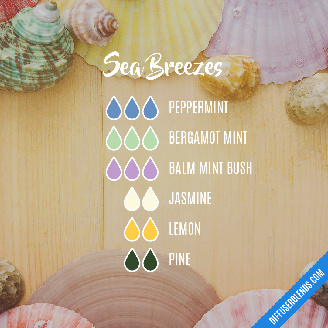 Sea Breezes | DiffuserBlends.com