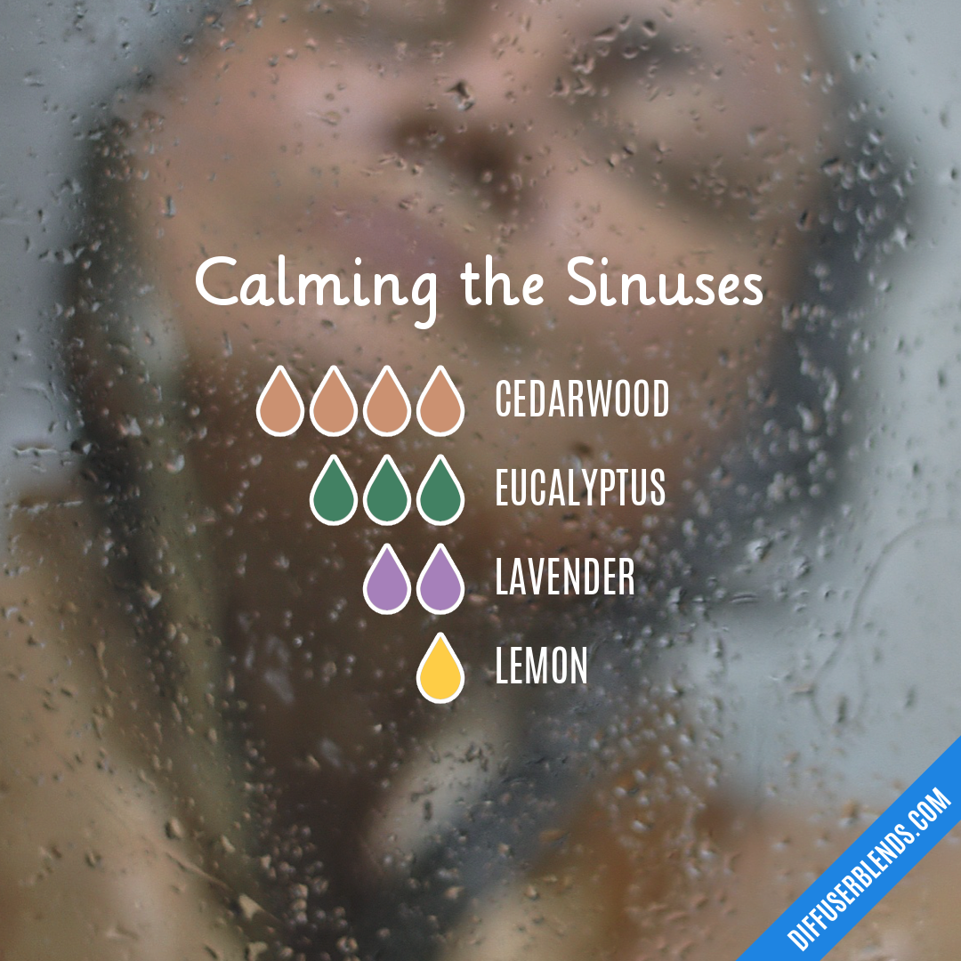 Calming the Sinuses | DiffuserBlends.com