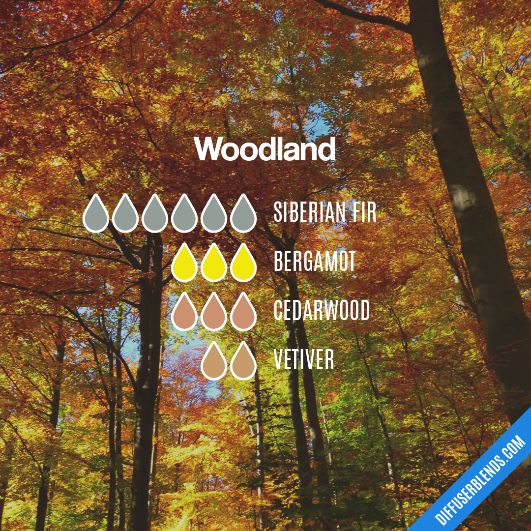 Woodland | DiffuserBlends.com