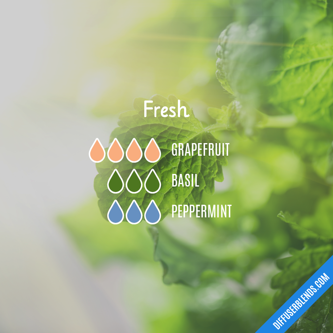 Fresh | DiffuserBlends.com