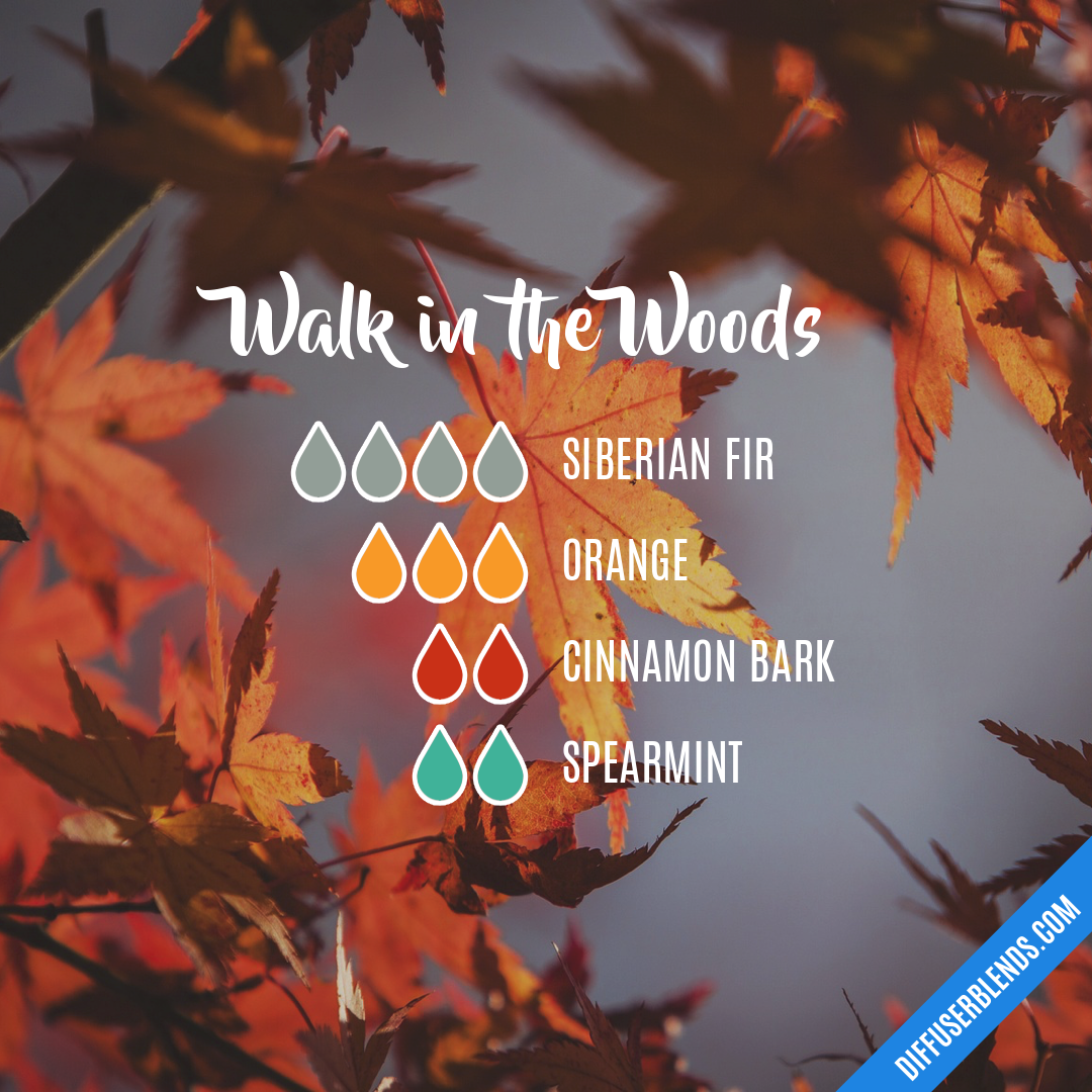 Walk in the Woods | DiffuserBlends.com