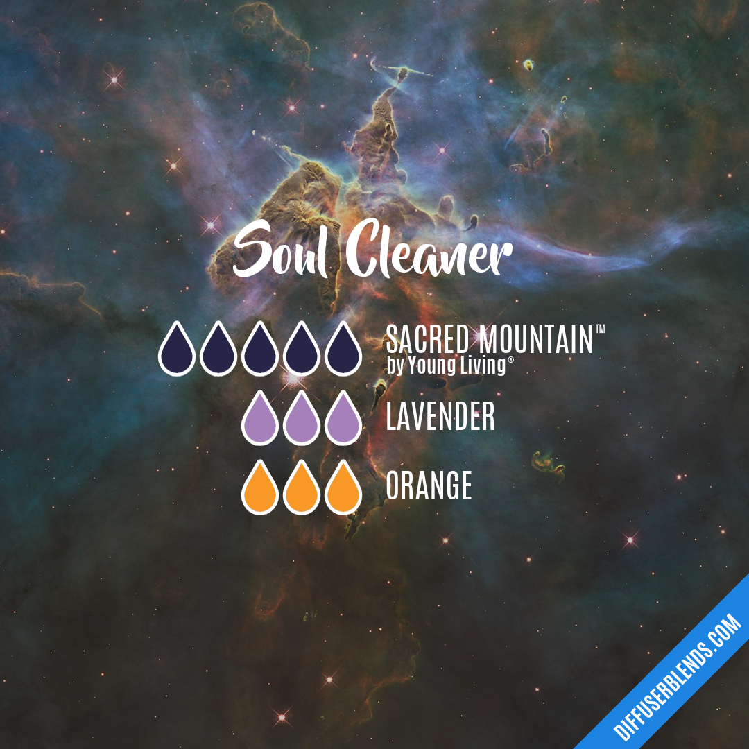 Soul Cleaner | DiffuserBlends.com