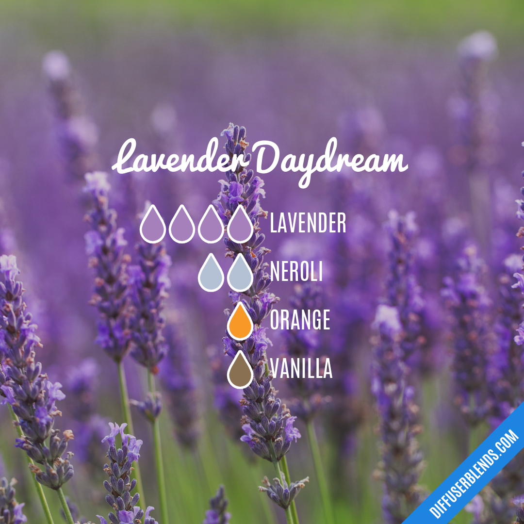 Lavender Daydream | DiffuserBlends.com