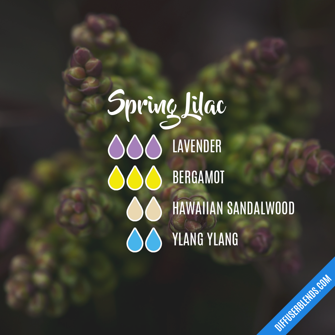 Spring Lilac | DiffuserBlends.com