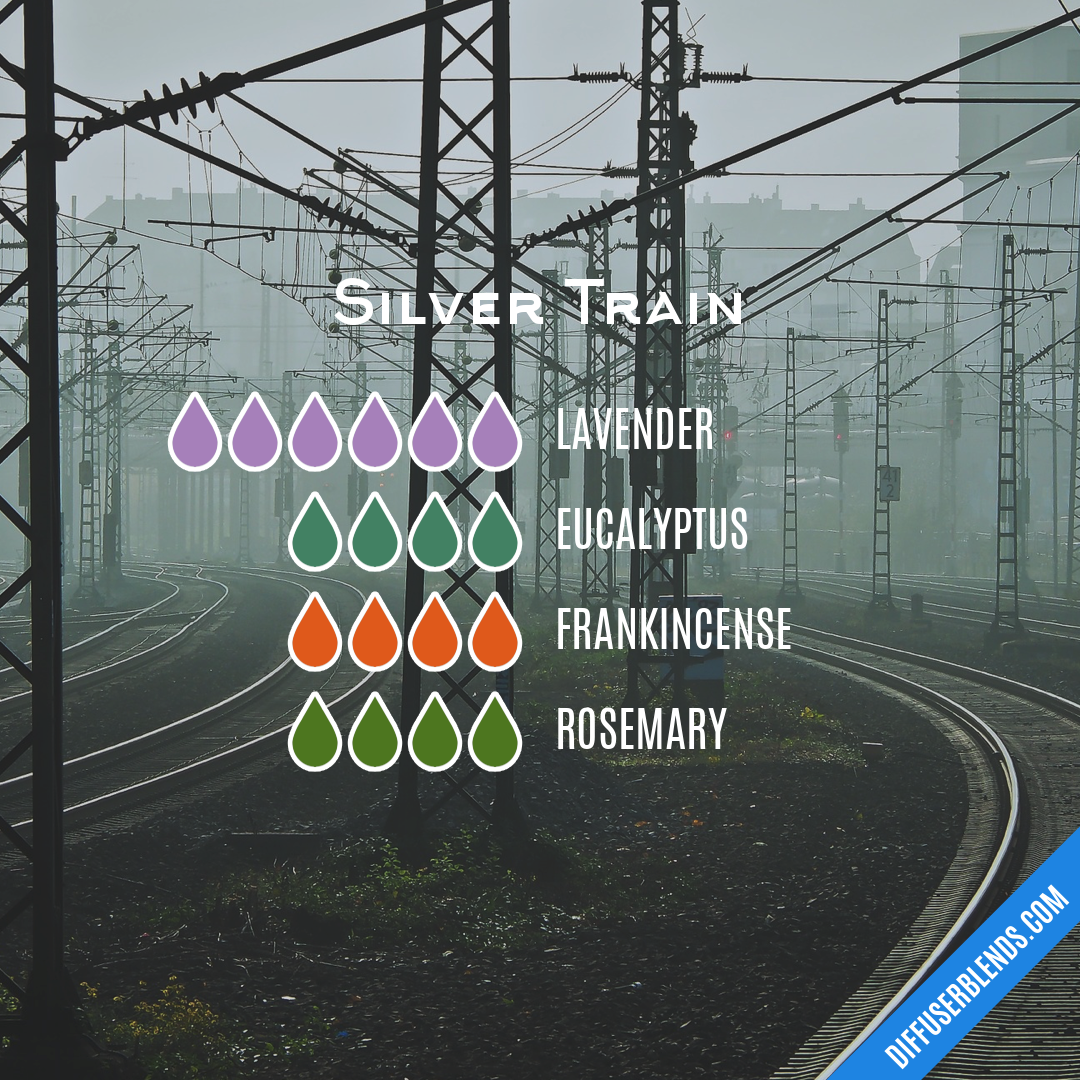 Silver Train | DiffuserBlends.com