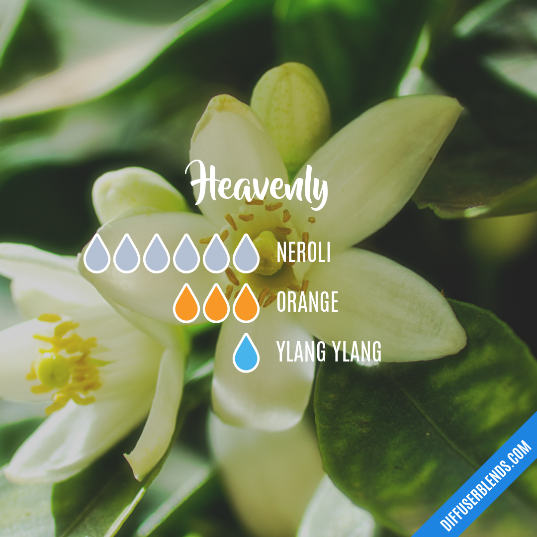 Heavenly | DiffuserBlends.com