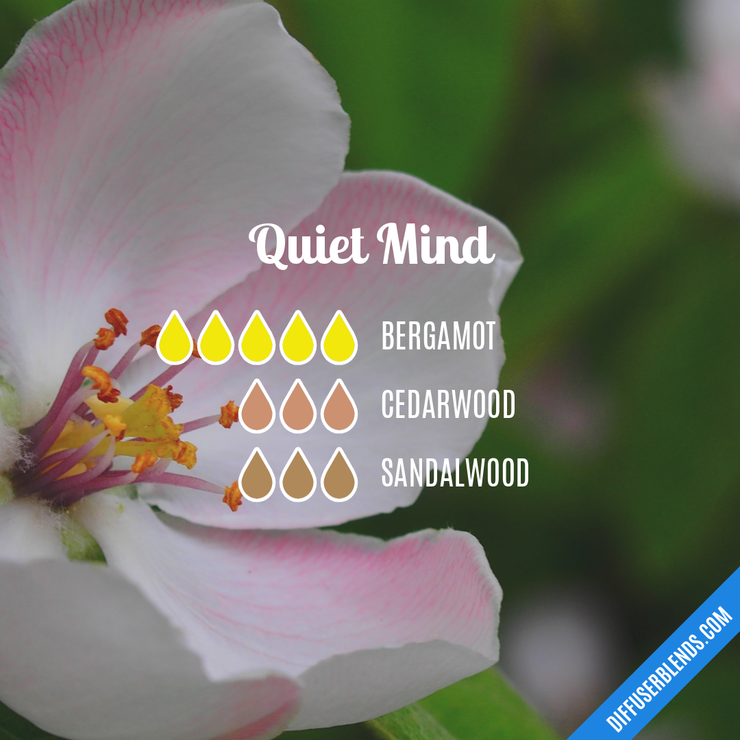 Quiet Mind | DiffuserBlends.com