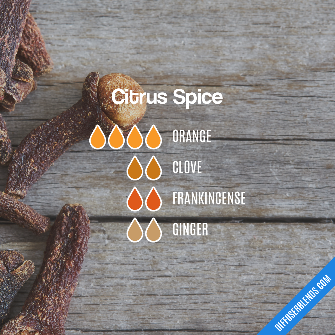 Citrus Spice | DiffuserBlends.com