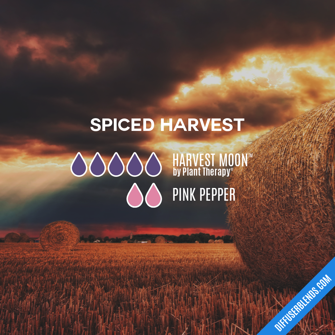 Spiced Harvest | DiffuserBlends.com