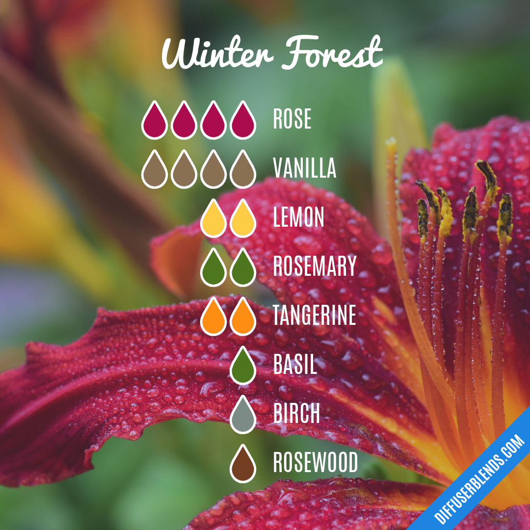 Winter Forest | DiffuserBlends.com