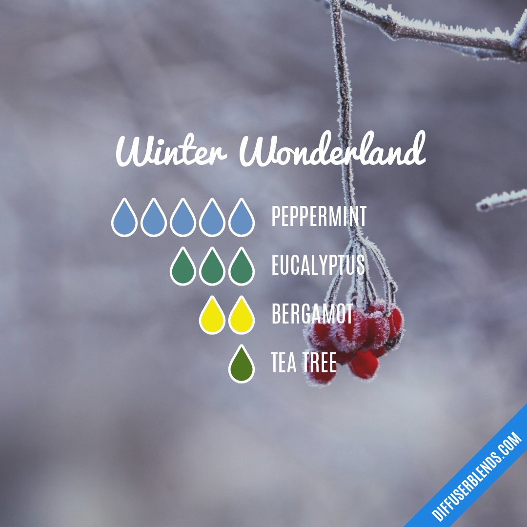 Winter Wonderland | DiffuserBlends.com