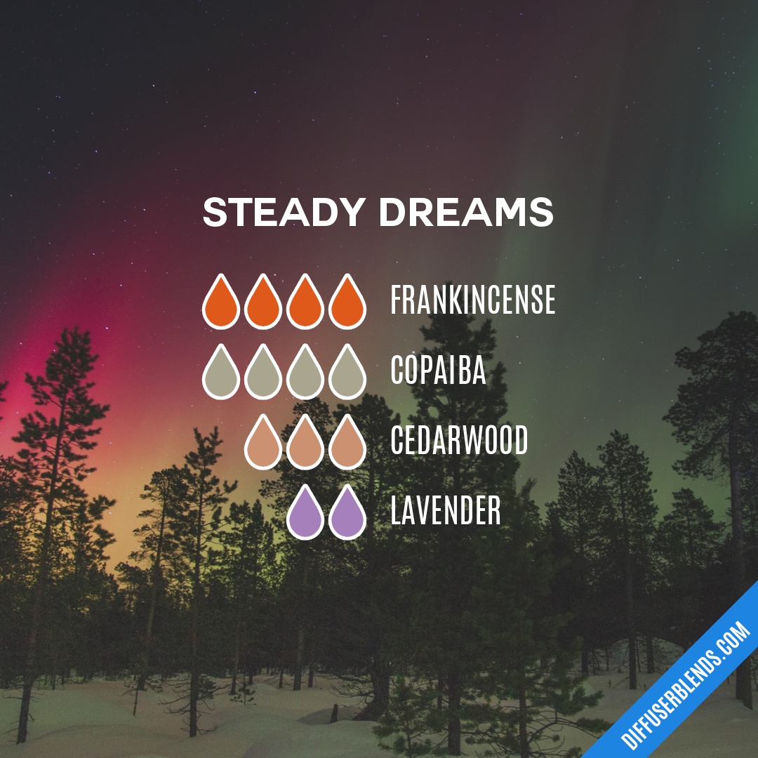 Steady Dreams | DiffuserBlends.com