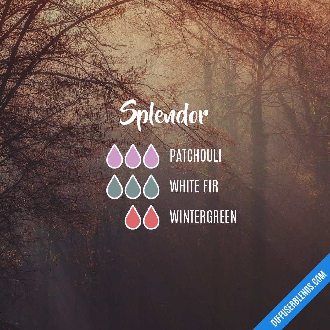 Splendor | DiffuserBlends.com