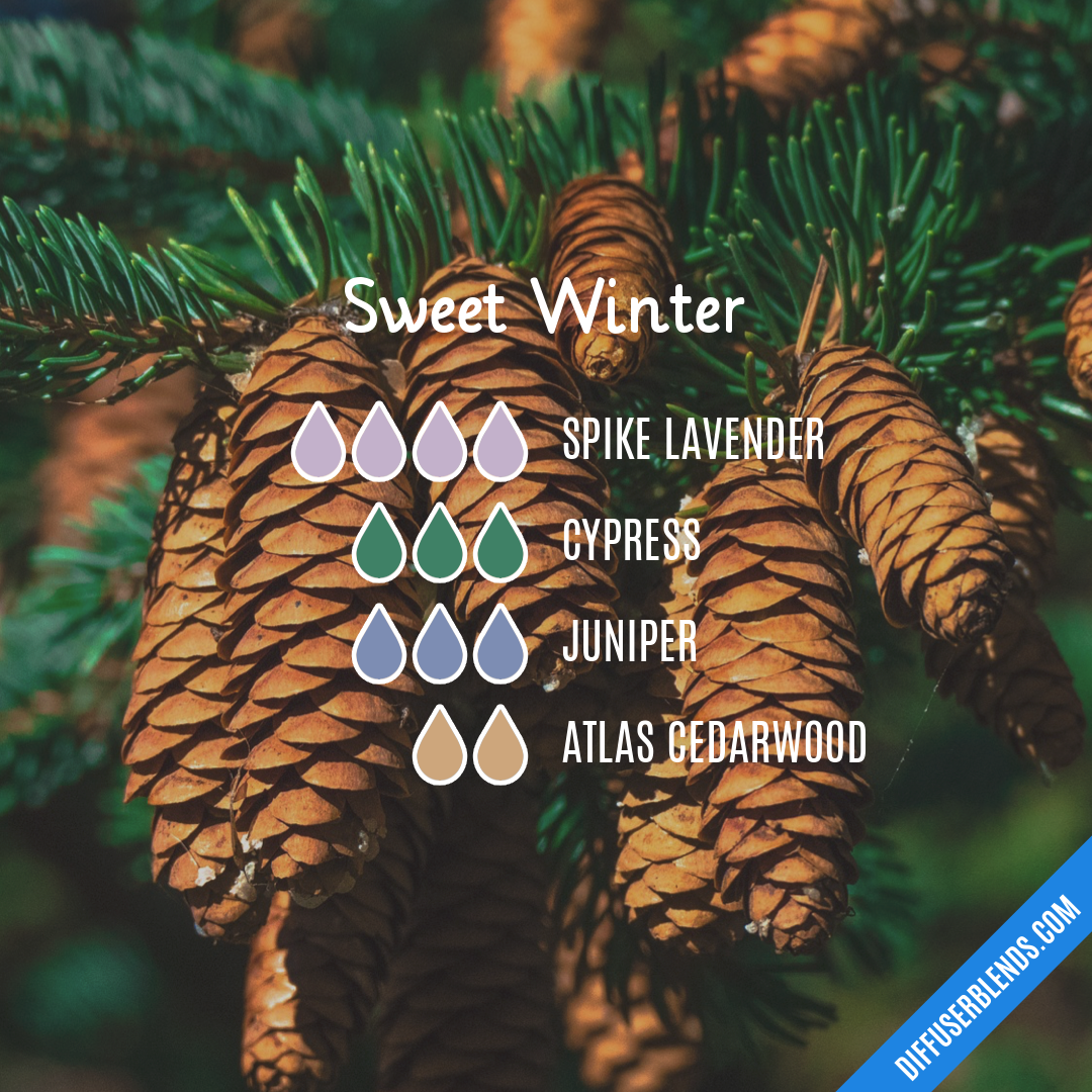 Sweet Winter | DiffuserBlends.com