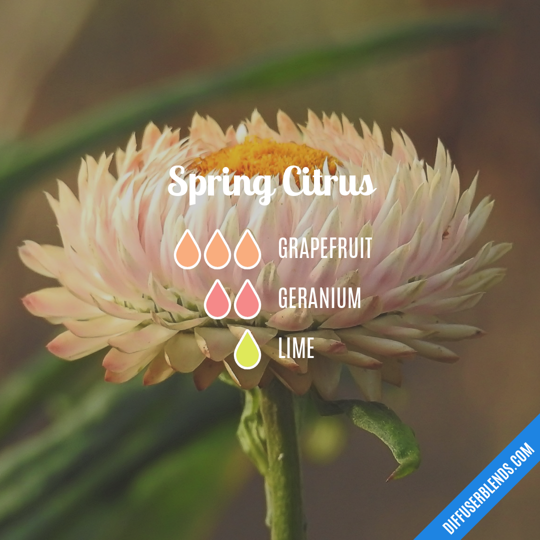 Spring Citrus | DiffuserBlends.com