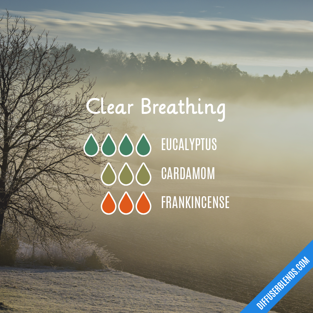 Clear Breathing | DiffuserBlends.com