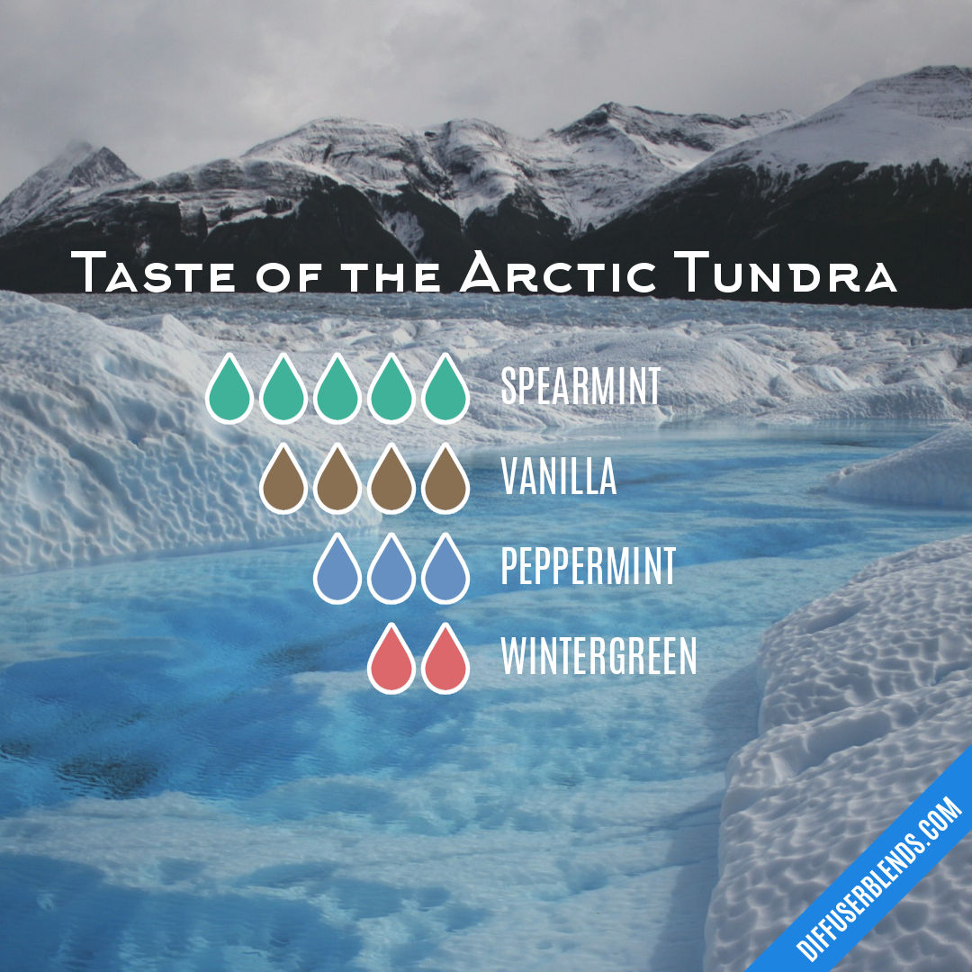 Taste of the Arctic Tundra | DiffuserBlends.com