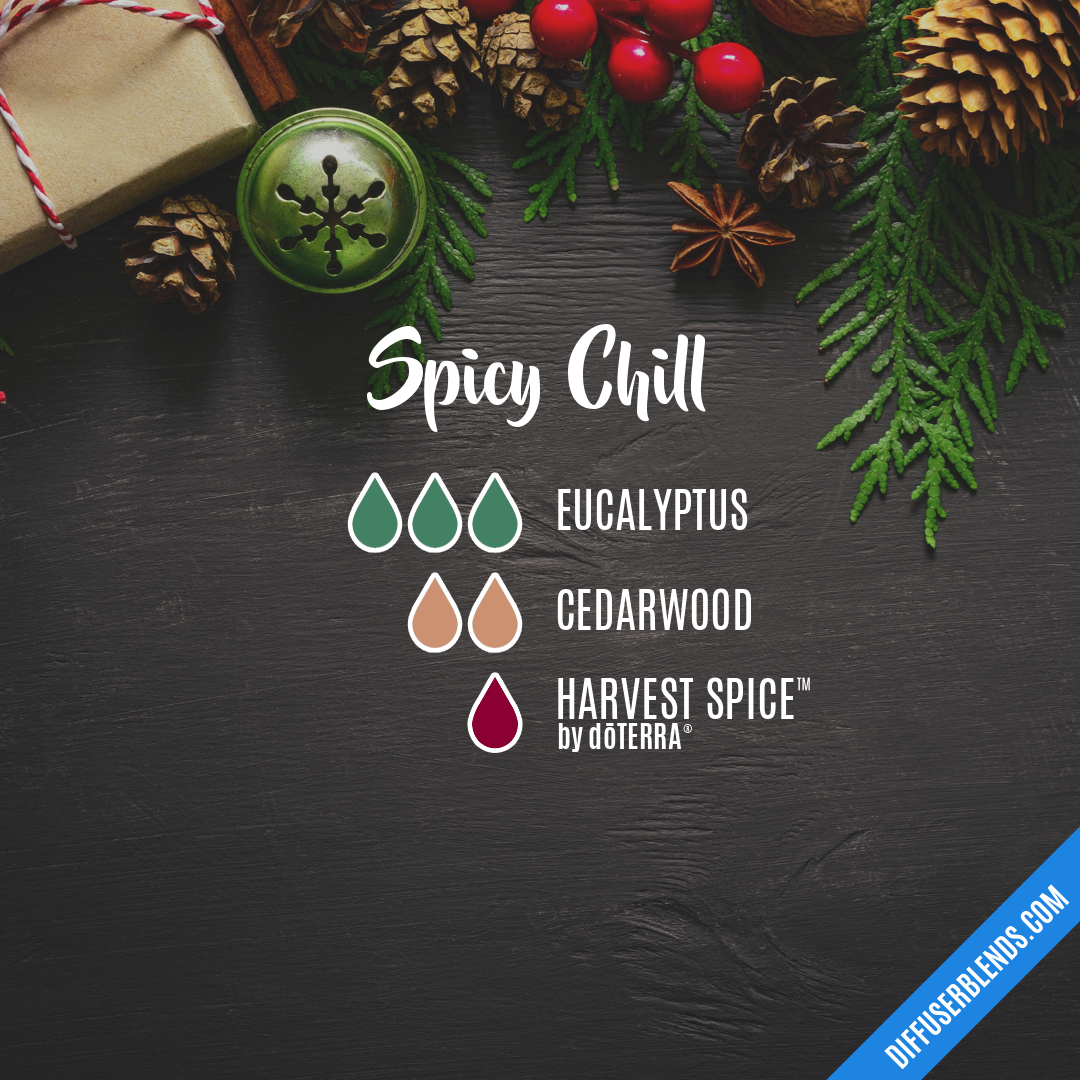 Spicy Chill | DiffuserBlends.com