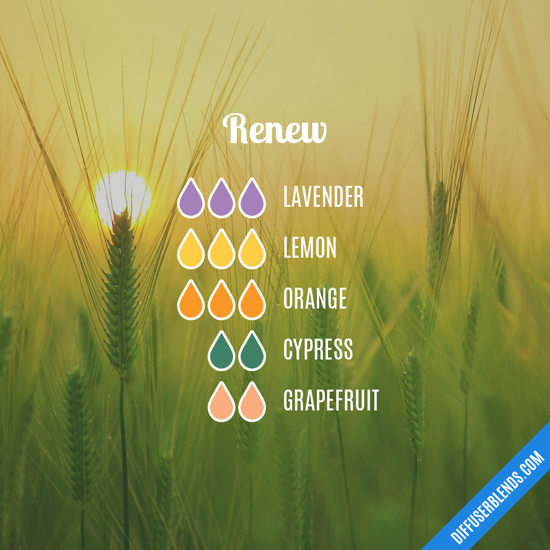 Renew | DiffuserBlends.com